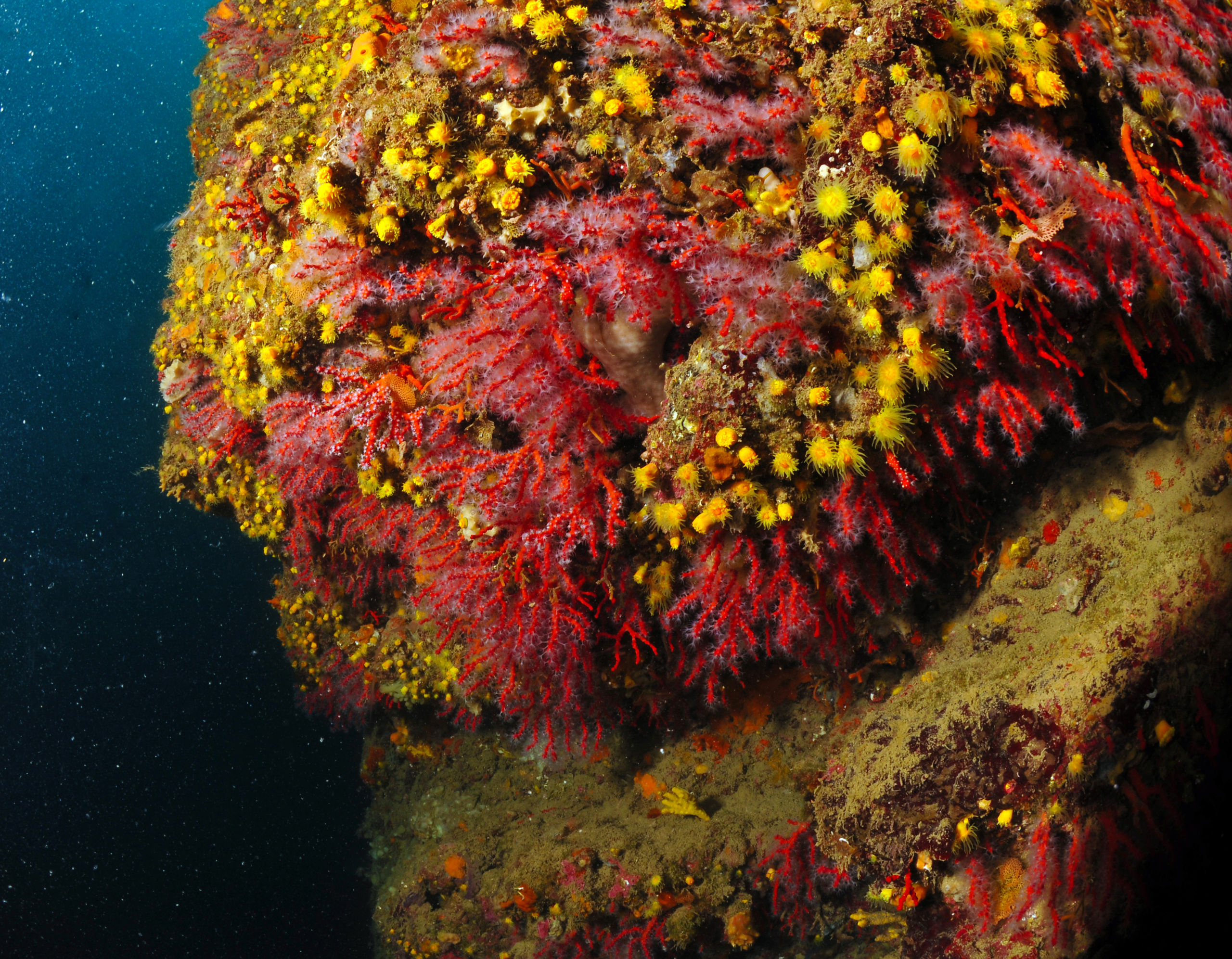 Registration – INQUA 2023